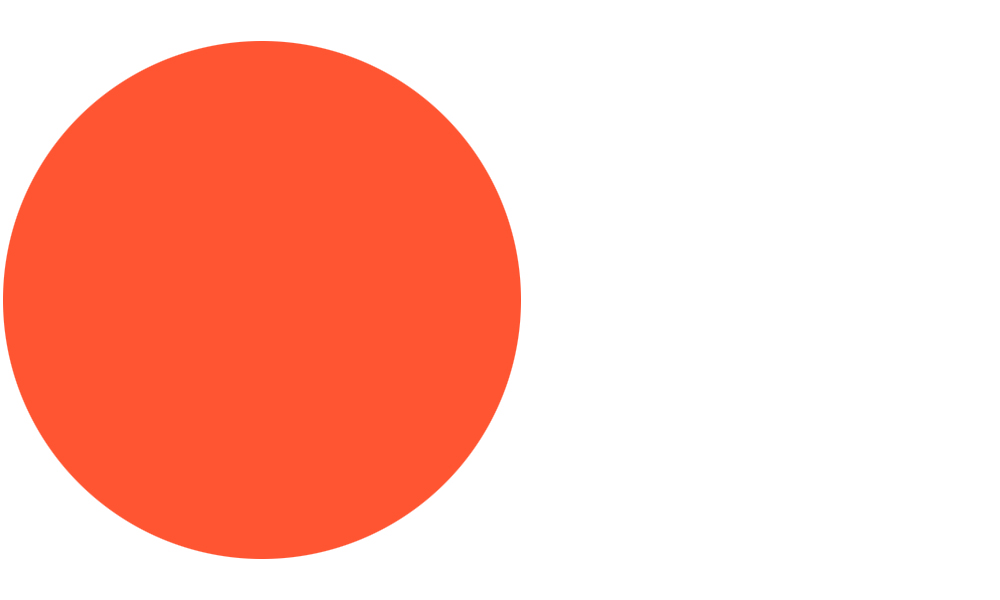 Integral Movement Brand Manual – Brand Manual